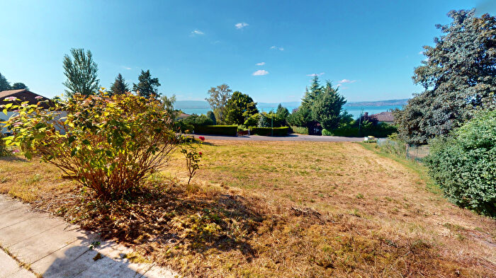 Maison 4 pièces à vendre - Neuvecelle