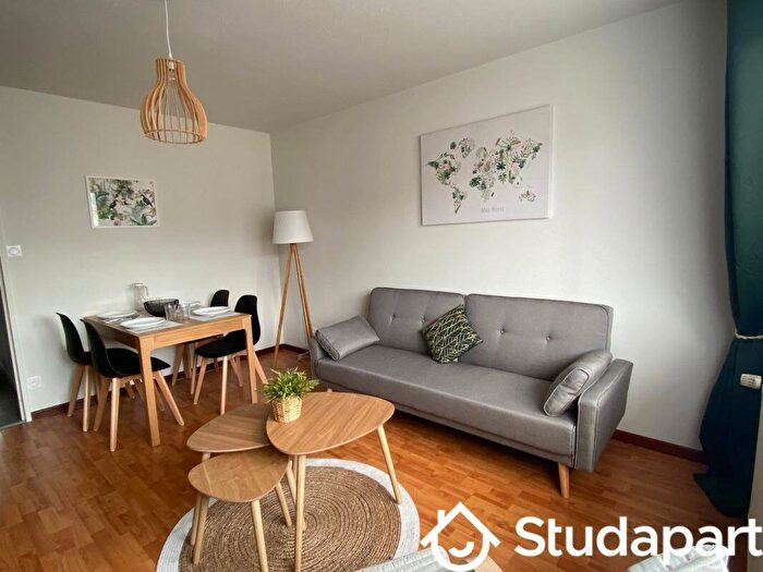 Appartement à louer - Espace Européen de lEntreprise-Mittefeld, Schiltigheim - 1 pièce - 1 chambre