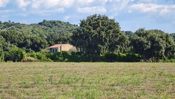 Maison à vendre - Antisanti - 5 pièces - 3 chambres