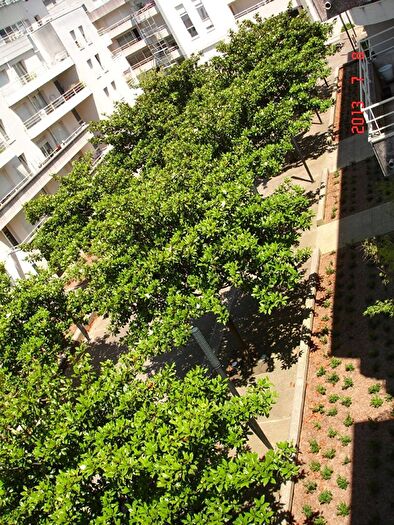 Appartement à louer - Nantes, Saint-Donatien, Tortière - 1 pièce