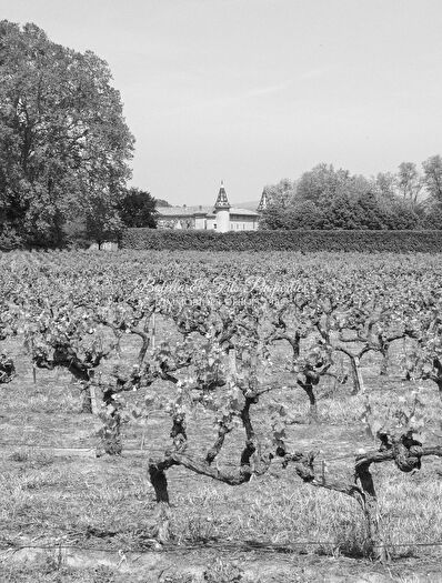 Maison à vendre - Uzès - 18 pièces - 7 chambres
