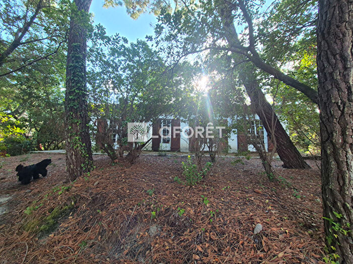 Maison à vendre - Lège-Cap-Ferret - 6 pièces - 4 chambres