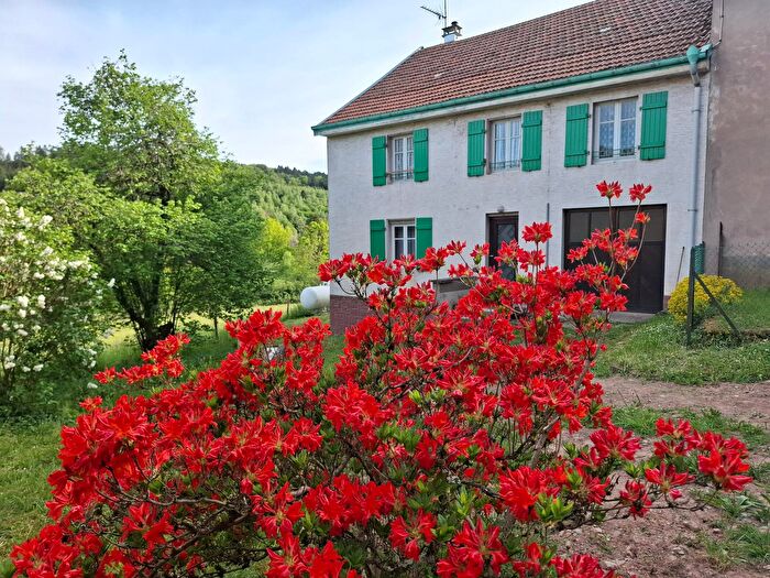 Maison 4 pièces à Moyenmoutier, à vendre