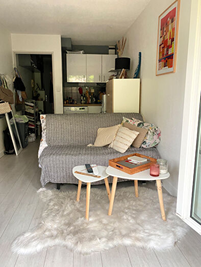 Toulouse, Le Raisin : Appartement 1 pièce à louer