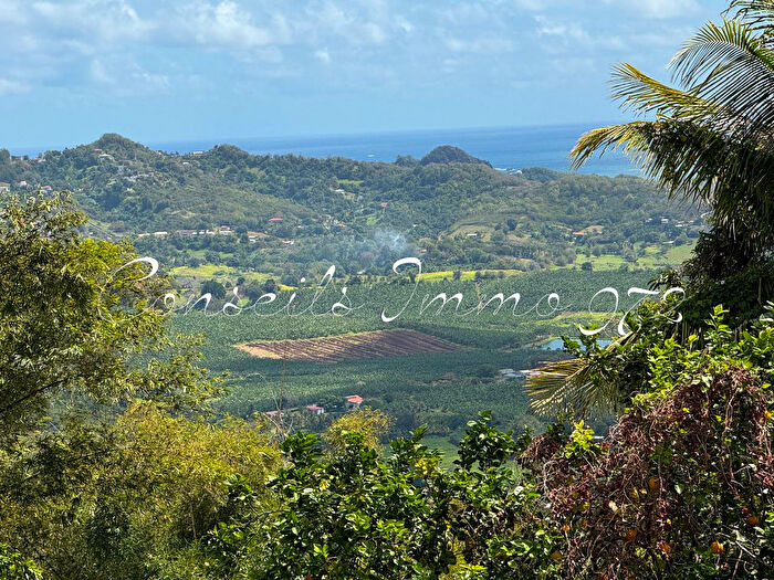 Appartement à louer - Le François - 4 pièces - 3 chambres