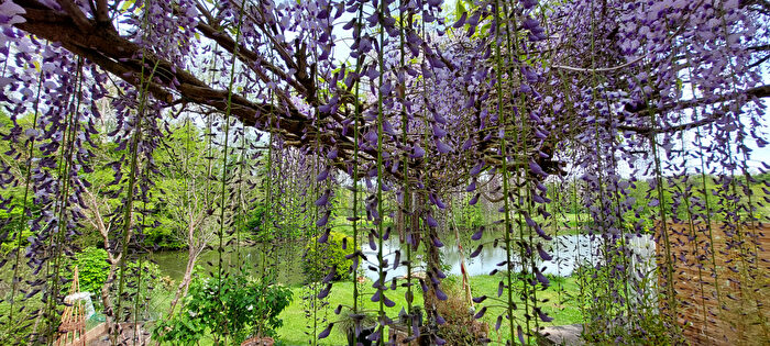 Maison à vendre - Conflandey - 4 pièces - 3 chambres