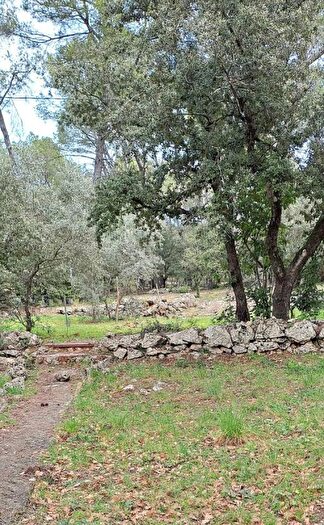 Maison à vendre - Trans-en-Provence - 5 pièces - 2 chambres