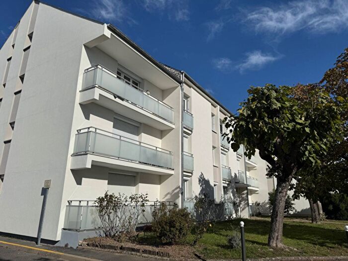 Appartement à louer - Olivet - 1 pièce