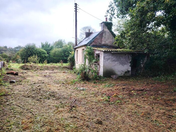 Maison à vendre - La Roche-Maurice - 2 pièces - 1 chambre