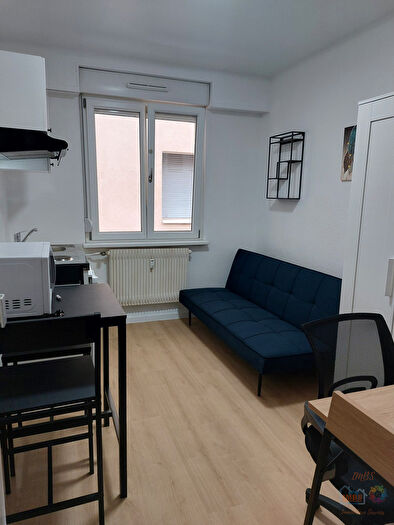 Strasbourg, Orangerie - Appartement 1 pièce à louer