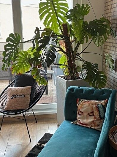 Appartement à vendre - Oberhausbergen - 3 pièces - 2 chambres