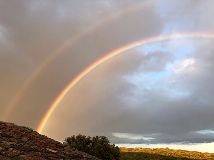 Maison à vendre - Tornac - 20 pièces - 15 chambres