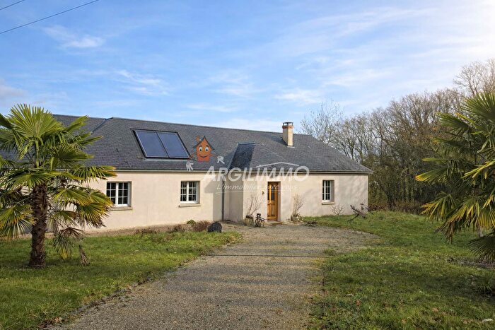 Maison à vendre - Bessé-sur-Braye - 7 pièces - 4 chambres