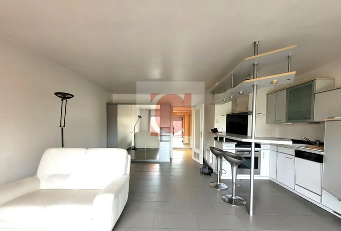 Appartement 1 pièce à Antibes, Juan-les-Pins, Le Cap, à louer