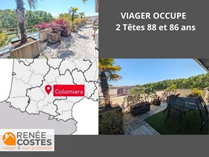 Appartement 10 pièces à Blagnac, Grand-Noble, Pinot, Brassens, à vendre