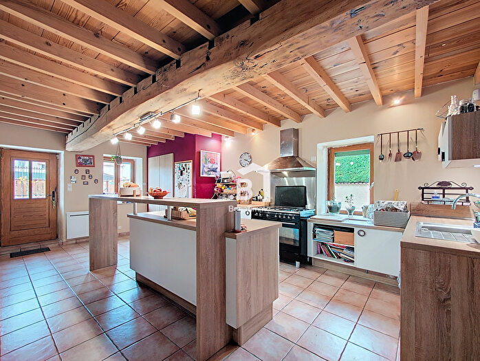 Maison à vendre - Frontonas - 10 pièces - 5 chambres