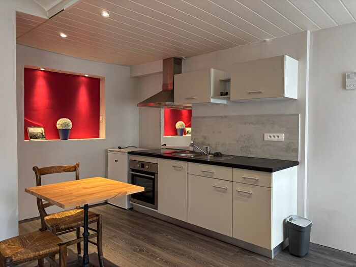 Le Puy-en-Velay, Centre-ville : Appartement 1 pièce à louer