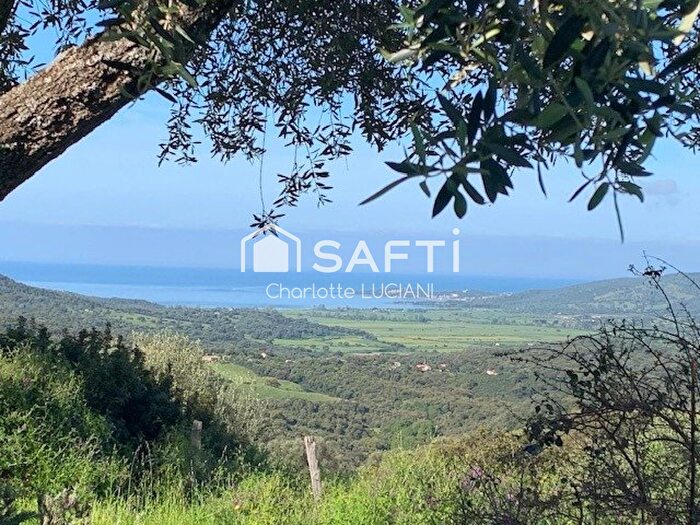 Maison à vendre - Sollacaro - 17 pièces - 14 chambres