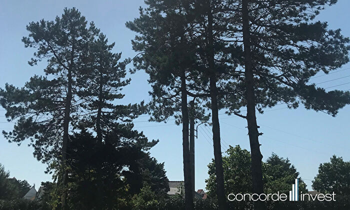 Maison à vendre - Le Touquet-Paris-Plage, Centre-ville, Plages - 8 pièces - 4 chambres