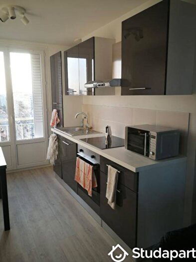 Appartement 1 pièce à louer à Cusset, Villeurbanne