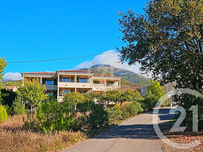 Appartement à vendre - Patrimonio - 2 pièces - 1 chambre