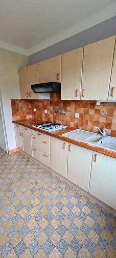 Appartement à louer - Centre Ville, Saint-Dié-des-Vosges - 1 pièce