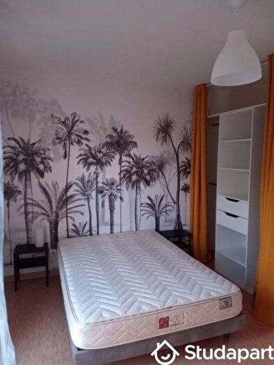 Activités, Orléans - Appartement 1 pièce à louer