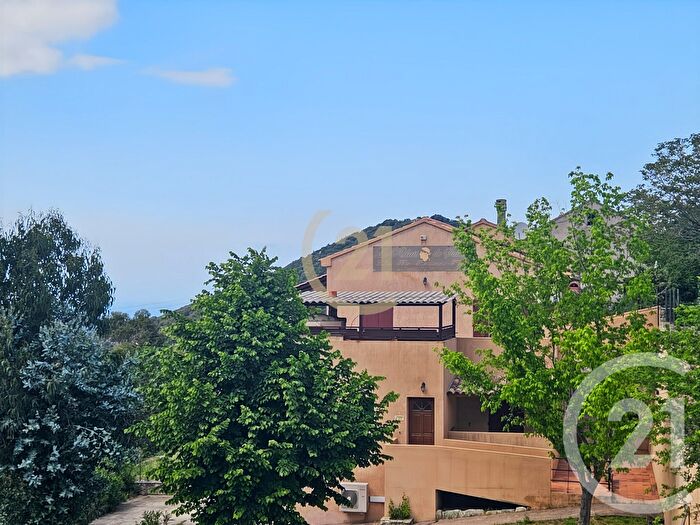 Maison à vendre - Saint-Florent - 12 pièces - 11 chambres