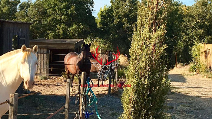 Maison à vendre - Béziers - 5 pièces - 3 chambres