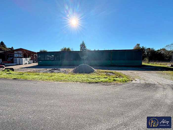 Maison à vendre - Neuvic - 1 pièce