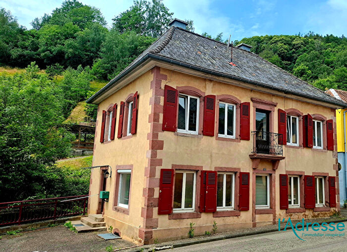 Maison 5 pièces à vendre à Fréland