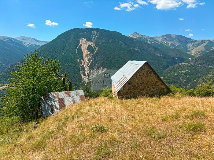 Maison à vendre - Saint-Étienne-de-Tinée - 3 pièces