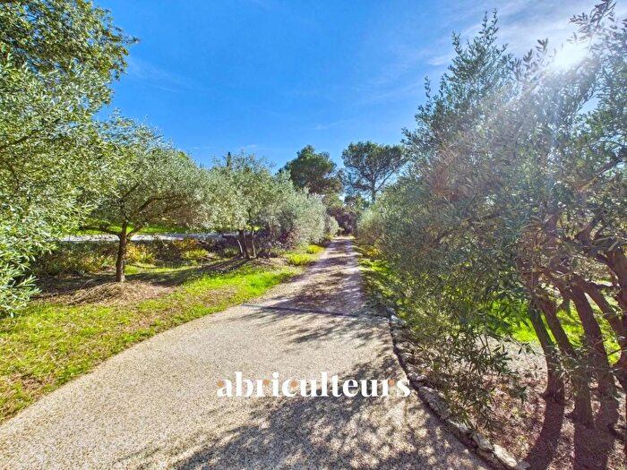 Maison à vendre - Cheval-Blanc - 5 pièces - 4 chambres