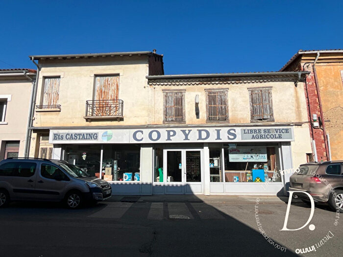 Maison à Trie-sur-Baïse, à vendre
