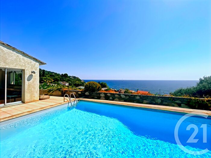 Maison à vendre - Santa-Maria-di-Lota - 6 pièces - 4 chambres