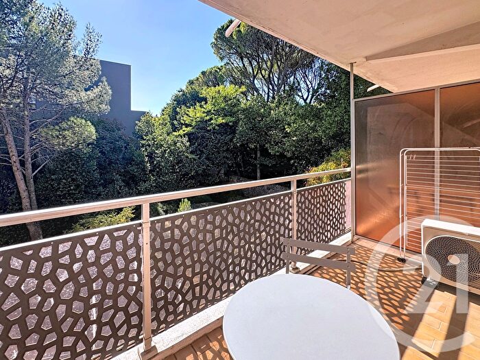 Montpellier, Hôpitaux, Facultés : Appartement 1 pièce à louer