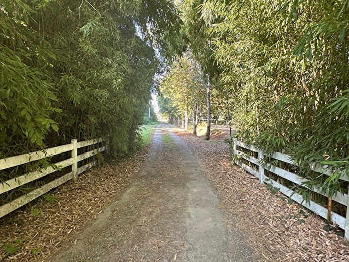 Maison à vendre - Termes-dArmagnac - 16 pièces - 8 chambres