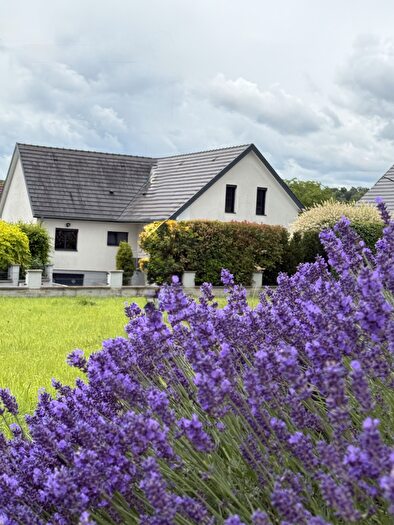 Maison 6 pièces à vendre - Ranspach-le-Haut