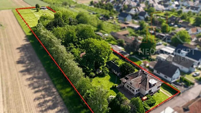 Niederr dern, Niederroedern - Maison 7 pièces à vendre