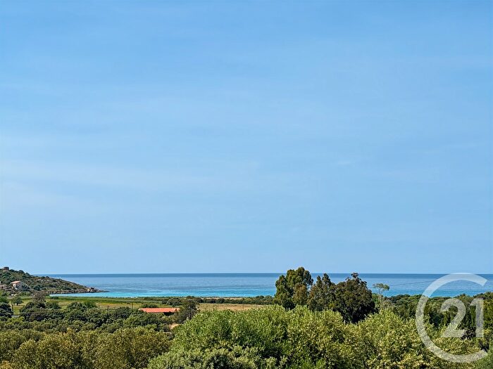 Maison à vendre - Belgodère - 5 pièces - 4 chambres