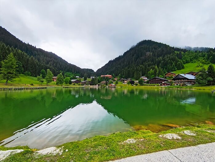 Appartement 1 pièce à vendre - Châtel