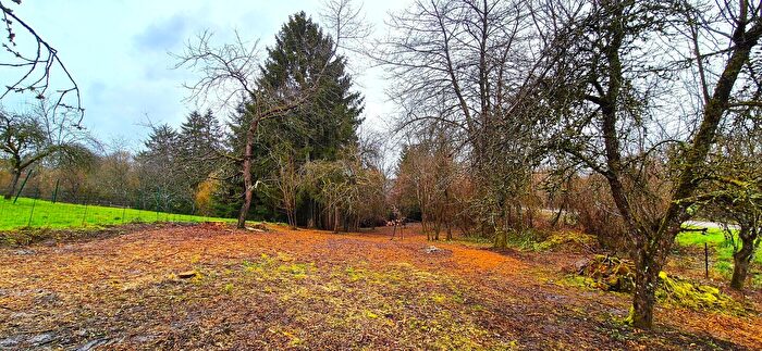 Maison 6 pièces à vendre à Rémelfing