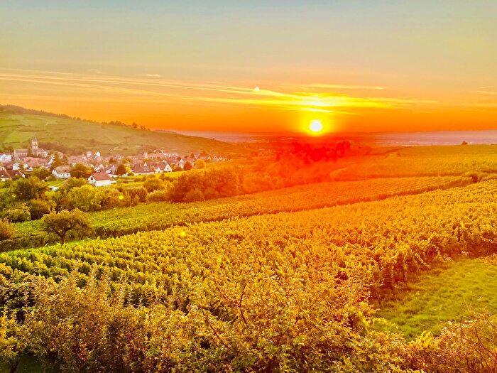 Maison à vendre - Ribeauvillé - 15 pièces - 5 chambres