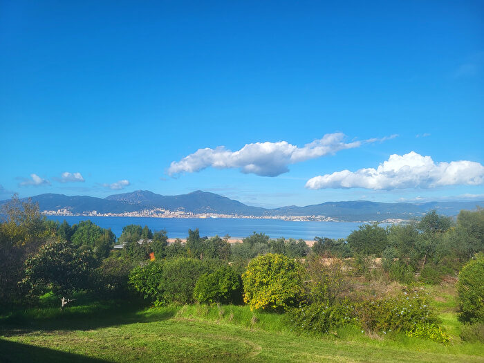 Maison à vendre - Grosseto-Prugna - 15 pièces - 13 chambres