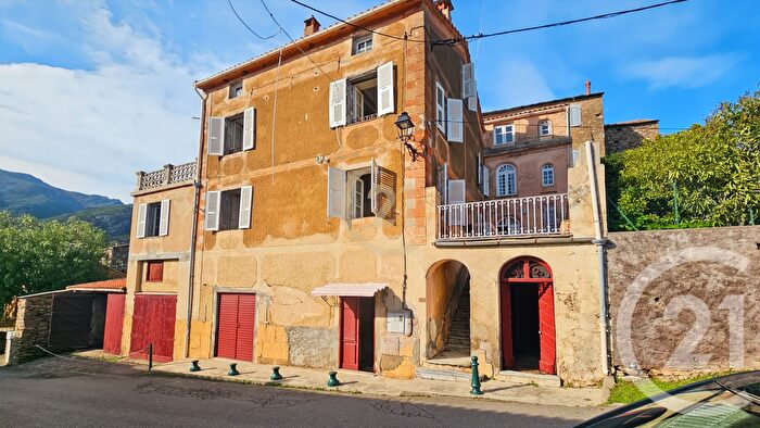 Maison à vendre - Santo-Pietro-di-Tenda - 8 pièces - 4 chambres