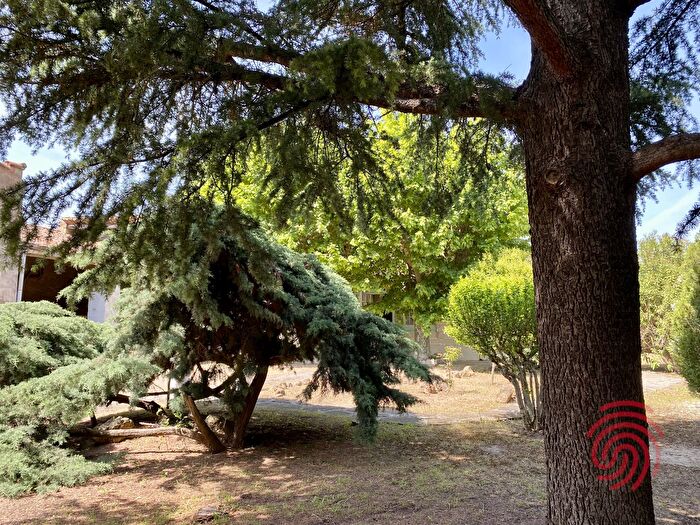 Maison à vendre - Puisserguier - 5 pièces - 4 chambres