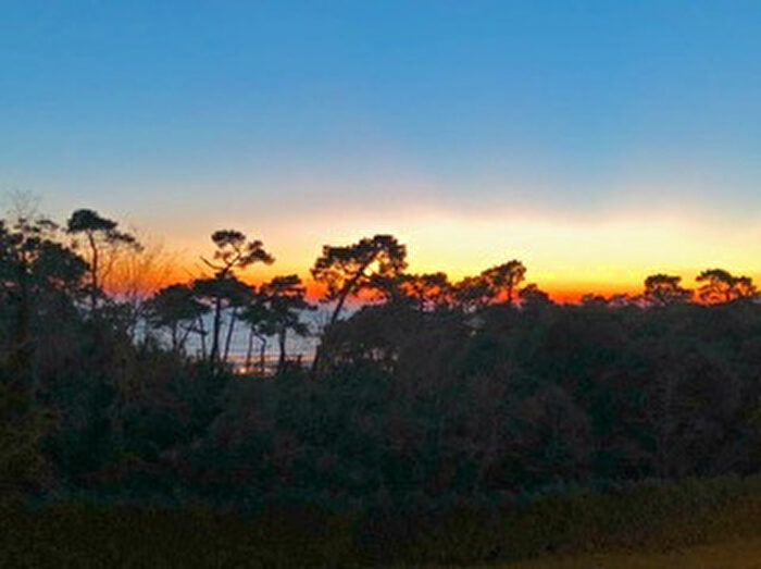 Appartement à vendre - Vaux-sur-Mer - 2 pièces - 1 chambre