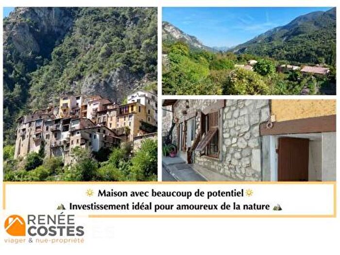 Maison à vendre - Puget-Théniers - 3 pièces - 2 chambres