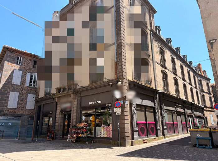 Saint-Flour - Maison 12 pièces à vendre