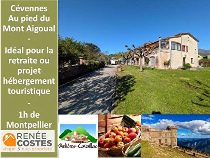 Le Vigan : Maison 7 pièces à vendre